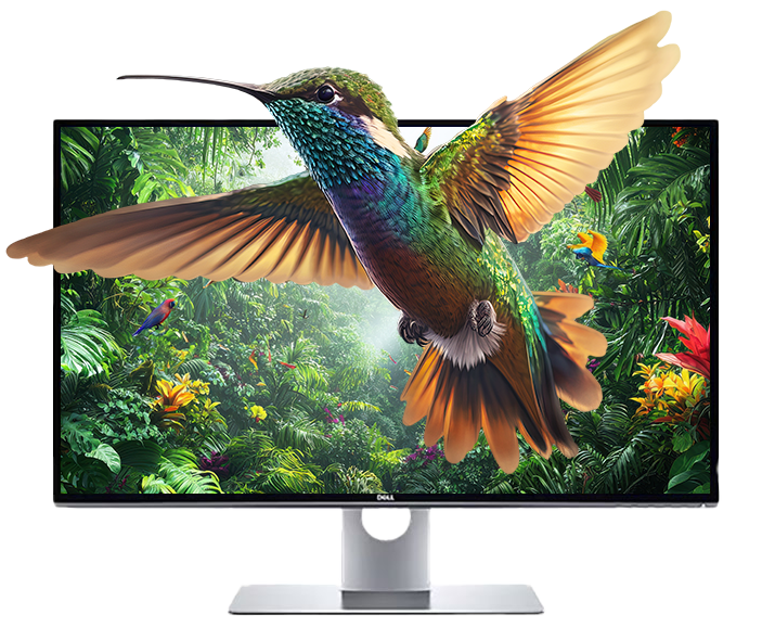 Dell UltraSharp UP3218KA 32" 8K IPS PremierColor Monitor with USB3.0 ...