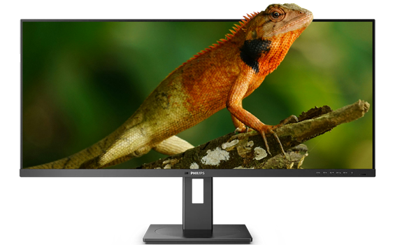 Philips 40" 40B1U5600 UltraWide Quad HD 120Hz Adaptive Sync Monitor ...