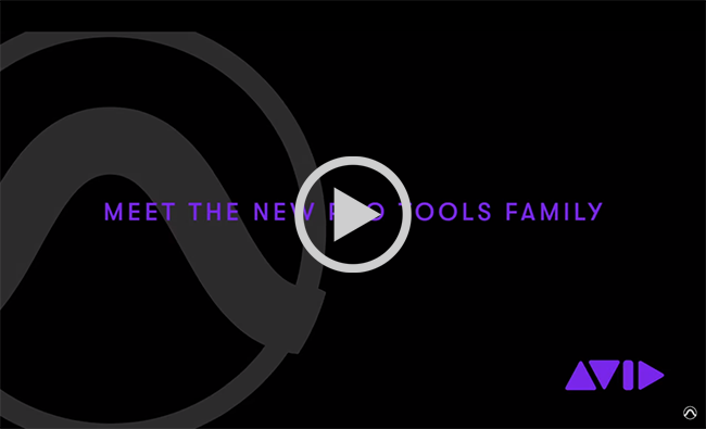 Avid Pro Tools Flex 1-Year Subscription EDU LN130155 - AVI99383100000 ...