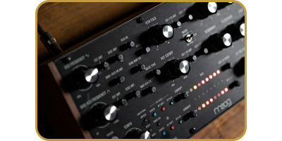 Moog Labyrinth Parallel Generative Analogue Synthesizer LN150973 ...