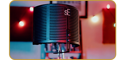 sE Electronics RF-X Portable Isolation Filter LN148817 | SCAN UK