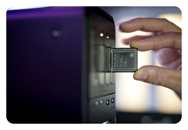 SanDisk Professional 256GB PRO-CINEMA CFexpress VPG400 Type B LN134678 ...