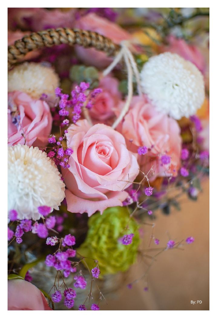 TTArtisan APS-C 25mm F2 Lens LN146120 - C2520-B-E | SCAN UK