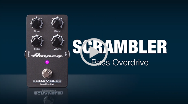Ampeg Scrambler Bass Overdrive Pedal LN136267 - GSCRAMBLER | SCAN UK