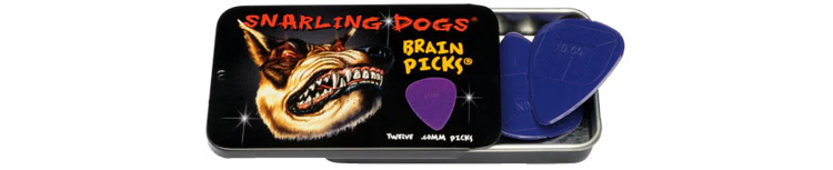 Snarling Dogs 351 Brain Picks - PURPLE .60mm - 12PC Tin LN167431 ...