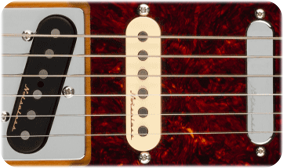 Fender Player Plus Nashville Telecaster, Maple Fingerboard, Sienna ...
