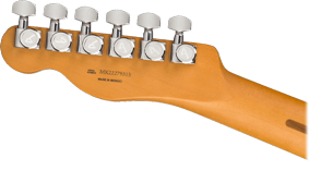 Fender Player Plus Nashville Telecaster, Maple Fingerboard, Sienna ...