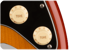 Fender Player Plus Stratocaster, Pau Ferro Fingerboard, Sienna Sunburst ...