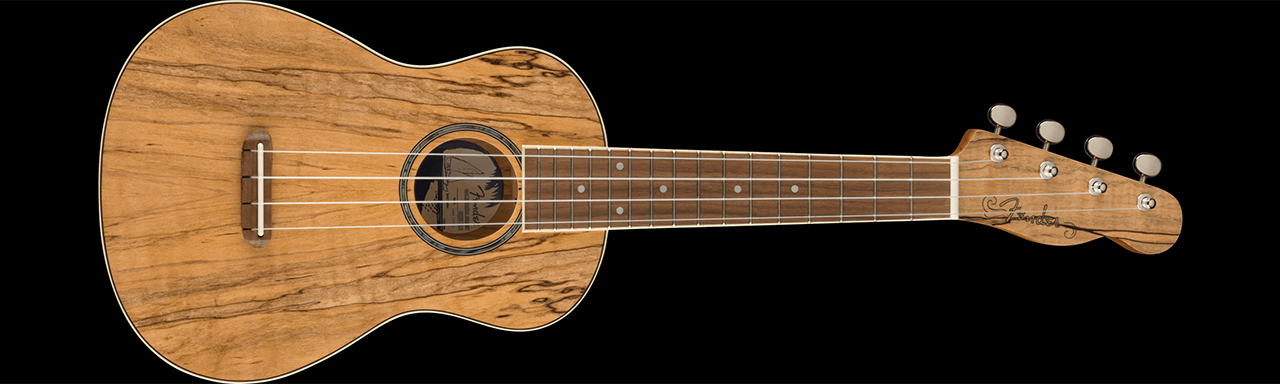 Fender Zuma Exotic Concert Ukulele, Walnut Fingerboard, Spalted Maple ...