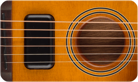 Fender Acoustasonic Standard Jazzmaster (Honey Burst) LN156013 ...