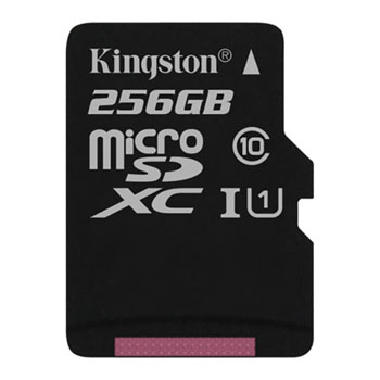 Kingston Canvas Select 256GB UHS Micro SD Memory Card LN90220 - SDCS ...