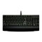Mionix Zibal 60 Mechanical Gaming Keyboard Backlit Green USB Cherry MX ...