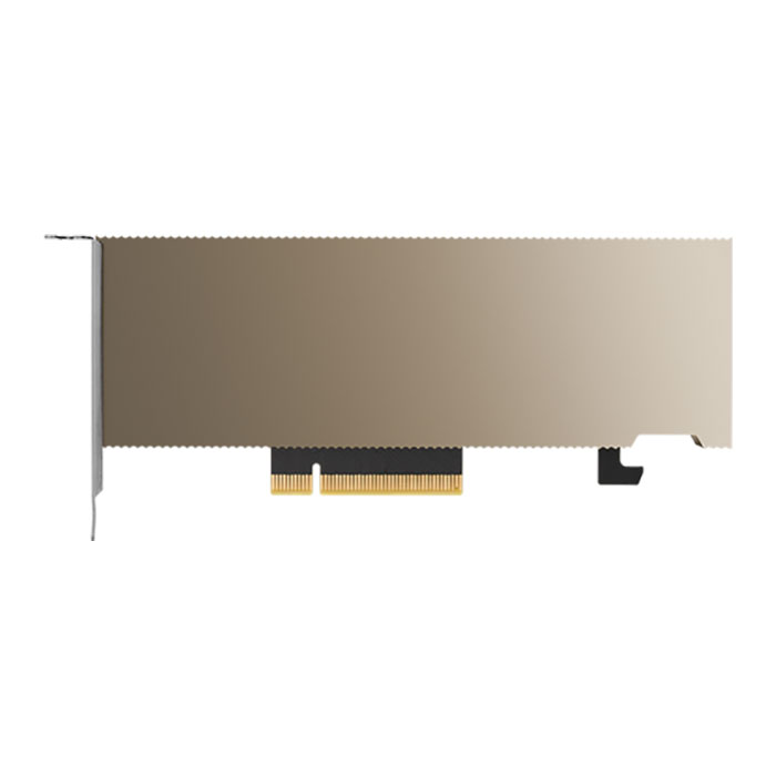 PNY NVIDIA A2 16GB Ampere AI Graphics Card LN121712 - TCSA2MATX-PB | SCAN UK