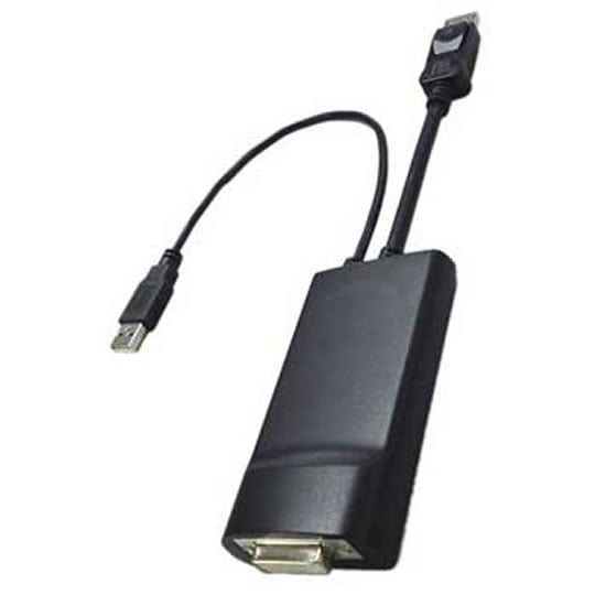 Dell / Bizlink Active DisplayPort to DVI (Dual Link) Adapter - 1080P ...