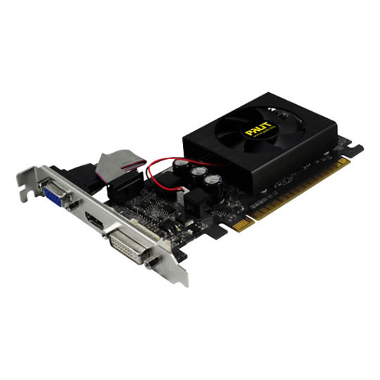 Palit NVIDIA GT 610 Low Profile Compatible Graphics Card - 1GB LN44987 ...