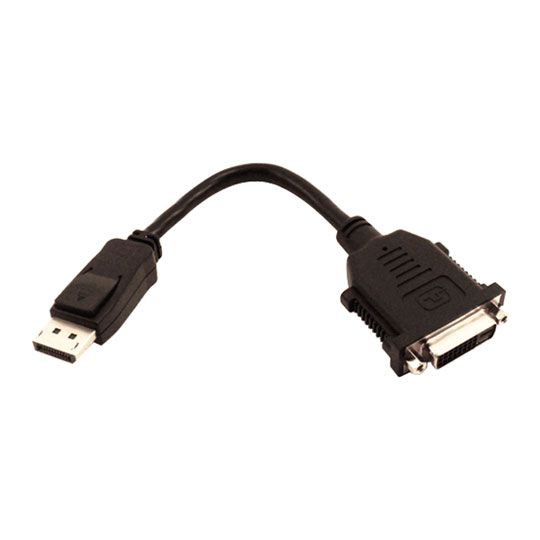 PNY DisplayPort/DP to DVI-D DL Short 20cm Adapter Cable CALI0125 ...