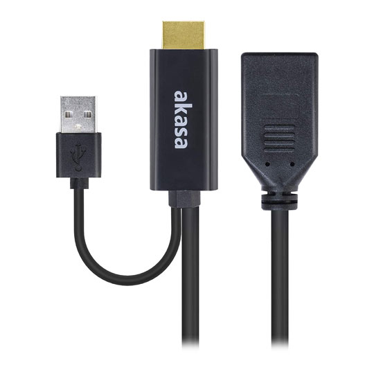 Akasa HDMI to DisplayPort Adapter Converter LN114157 - AK-CBHD24-25BK ...