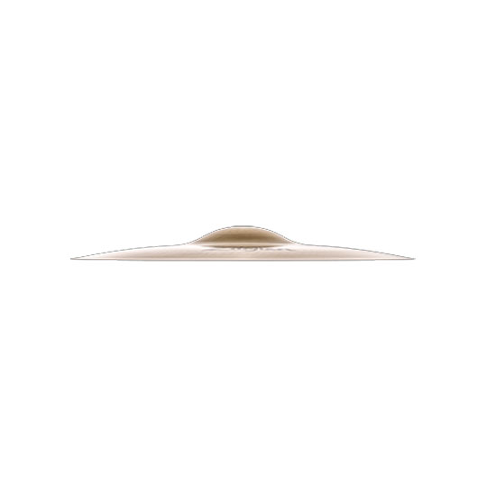 Zildjian 12 Zildjian 12