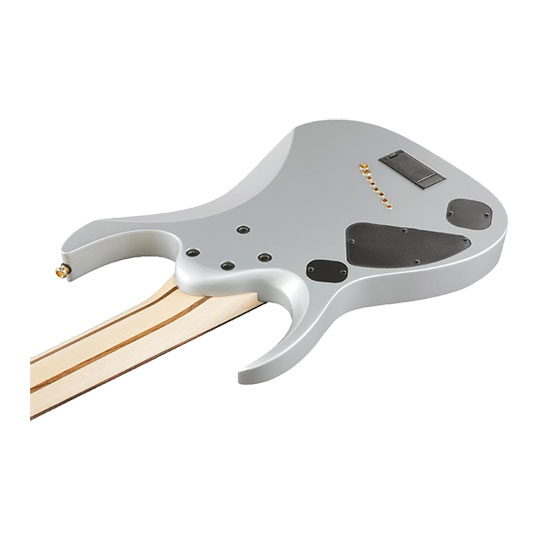 Ibanez RGDMS8 8-String Electric Guitar - Classic Silver Matte LN133560 ...