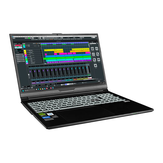 3XS Audio Workstation Laptop with Thunderbolt LN140013 - PAPERFLIVE60 ...