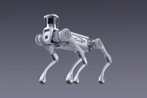 Unitree B2 Standard Intelligent Bionic Quadruped Robot LN159355 ...